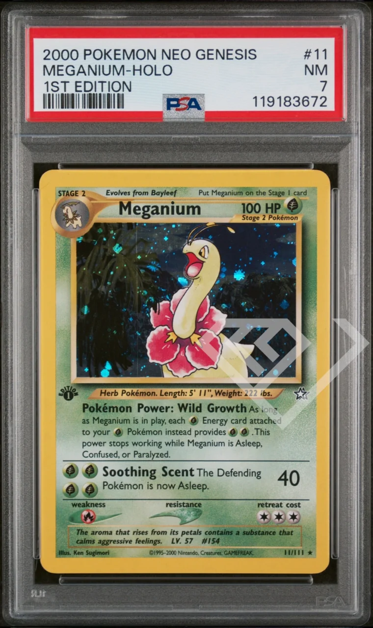 Meganium 11/111 Holo - Neo Genesis 1st Edition PSA 7 English - Grading ...